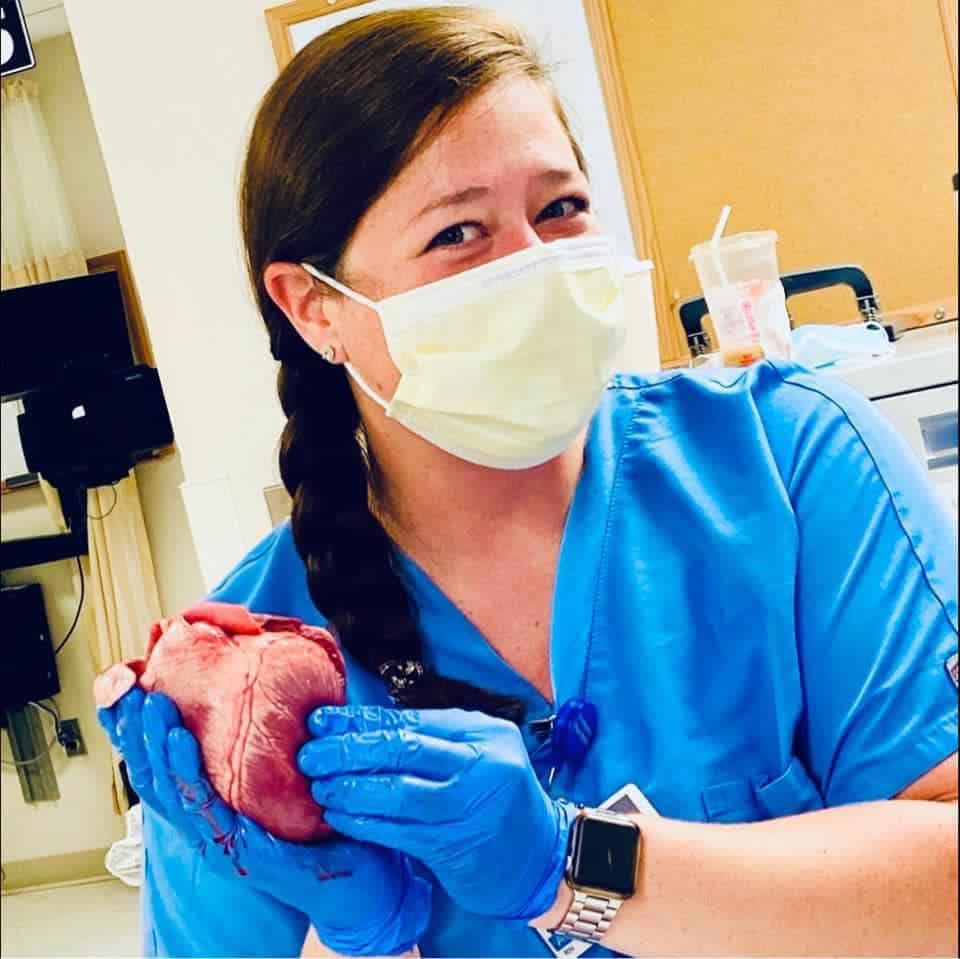 team - Life Saving Certifiers